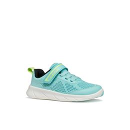 Barfu&szlig;schuh Geox "J FOOT-RUN GIRL", Jungen, Gr. 25, mintgr&uuml;n, Lederimitat, Textil, Mesh, Schuhe Barfu&szlig;schuh, Halbschuh mit Klettverschluss, Gr&ouml;&szlig;enschablone zum Download