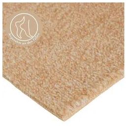 Teppichboden ANDIAMO "Catania, Velours, Gesamth&ouml;he 7,5 mm, Luxusklasse LC1", beige (dunkelbeige), B:500cm L:500cm, Kunstfaser, Teppiche, meliert, Breite 400 cm oder 500 cm, strapazierf&auml;hig & pflegeleicht