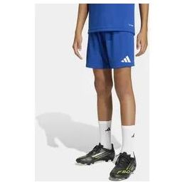 Trainingsshorts Adidas PERFORMANCE "ENTRADA26 KIDS", Jungen, Gr. 164, N-Gr, royal blau, wei&szlig;,, Obermaterial: 100% Polyester, Hosen