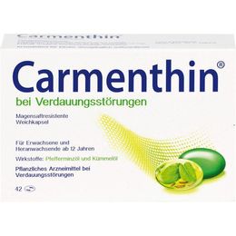 Carmenthin bei Verdauungsst&ouml;rungen 42 St