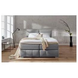 Boxspringbett Home Affaire "Wehma", grau, B:170cm L:213cm, Struktur fein (100% Polyester), Komplettbetten, Boxspringbett, inkl. Topper in 3 verschiedenen Matratzen, auch in Samtstoff