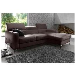 Ecksofa COTTA "Sammy L-Form", braun, B:226cm H:92cm T:105cm, Microfaser PRIMABELLE (100% Polyester);NaturLEDER in Sitz und R&uuml;cken/Kunstleder im Korpus;NaturLEDER (echtes Rindsleder), R&uuml;ckseite mit Spannstoff bezogen, Sofas, Ecksofa, mit Kopfteilverstellung, wahlweise mit Bettfunktion