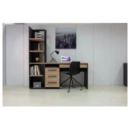 Aktenschrank GAMI "ARCADE", braun (anthrazit, eiche bocage), B:42cm H:62cm T:60cm, Holzwerkstoff, Schr&auml;nke, wahlweise 1 Schublade f&uuml;r H&auml;ngeregister oder 1 Stiftbox