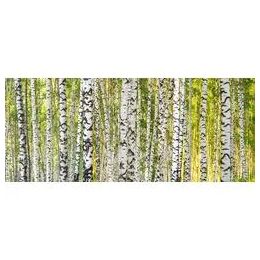 Fototapete ARCHITECTS PAPER "Birch Forest", bunt (braun, gr&uuml;n, wei&szlig;), B:6m L:2,5m, Vlies, Tapeten, Vlies, Wand, Schr&auml;ge