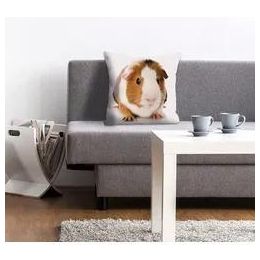 Dekokissen queence "Malte", braun (braun, bedruckt), B:40cm L:40cm, Polyester, Dekokissen_Sitzkissen_Kissenh&uuml;llen, Kissenh&uuml;lle,Meerschweinchen,Tiermotiv,Niedlich,Haustier,Verspielt