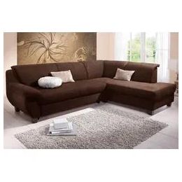 Ecksofa Home Affaire "Yesterday zeitlos und elegant, bequeme Armlehnen, L-Form", braun (mocca), B:254cm H:80cm T:186cm, Struktur (100% Polyester);Primabelle-Microfaser (100% Polyester);Antikleder-Optik Melrose (100% Polyester), Sofas, Ecksofa, Microfaser MELROSE, mocca