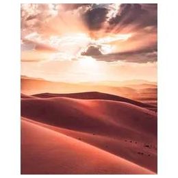 Vliestapete Komar "Digitaldruck Vlies - God Rays - Gr&ouml;&szlig;e 200 x 250 cm", braun, B:200m L:250m, Vlies, Tapeten, Wohnzimmer, Schlafzimmer