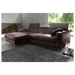 Ecksofa COTTA "Sammy L-Form", braun, B:226cm H:92cm T:105cm, Microfaser PRIMABELLE (100% Polyester);NaturLEDER in Sitz und R&uuml;cken/Kunstleder im Korpus;NaturLEDER (echtes Rindsleder), R&uuml;ckseite mit Spannstoff bezogen, Sofas, Ecksofa, mit Kopfteilverstellung, wahlweise mit Bettfunktion