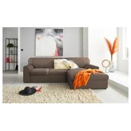 Ecksofa DOMO collection "Topper, elegant und zeitlos, kompaktes Stellma&szlig; 245/155cm, L-Form", braun, B:245cm H:78cm T:155cm, Sofas, Ecksofa, mit Recamiere, wahlweise mit Schlaffunktion