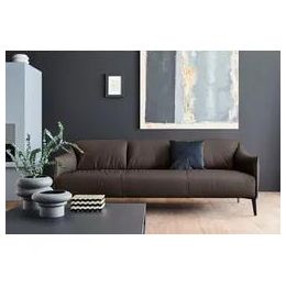 3-Sitzer W.Schillig "sally", braun (braun z59), B:224cm H:78cm T:84cm, Longlife Xtra-Leder Z59: Glattleder mit modischer Pr&auml;gung. Hautst&auml;rke 0, 9 - 1, 1 mm., Sofas, mit Metall-Winkelf&uuml;&szlig;en in Schwarz pulverbeschichtet, Breite 224 cm