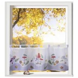 Weckbrodt-Gardinen Scheibengardine WECKBRODT "Silvan", bunt (multi), B:120cm H:45cm, Voile, Polyester, Gardinen, Bistro, Voile, bedruckt, transparent, HxB 45x120cm, Gardine, Store
