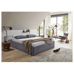 Polsterbett "Texel", grau (anthrazit), B:206cm H:42cm L:206cm, Bezug Bett: Veloursstoff 100% Polyester oder Microfaser (100% Polyester);Bonnell-Federkernmatratze: 51% Polypropylen, 39% Polyester und 10% Baumwolle;Kaltschaummatratze: 100% Polyester, Bezug abnehm- und waschbar bis 60C;Kissenbezug: 100% Polyester, F&uuml;llung : 100% Polyester (Hohlfaser), Westfalia Schlafkomfort, Betten, Polsterbett, Kom