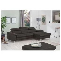 Ecksofa COTTA "Komaris L-Form, B: 244 cm", braun, B:244cm H:72cm T:166cm, Microfaser PRIMABELLE (100% Polyester);Kunstleder SOFTLUX(100%Polyurethan);Feinstruktur (100% Polyester);Kunstleder SOFTLUX/Struktur (100%Polyurethan, 90%Polyester, 10% Polyacryl), Sofas, Ecksofa, mit Kopfteilverstellung, optional Bettfunktion, Bettkasten & Licht, Topseller