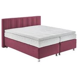 Boxspringbett, rot (bordeaux, rot), B:195cm L:210cm, Bezug: 100% Polyester;Polsterung: 100% Polyester, Westfalia Schlafkomfort, Komplettbetten, Boxspringbett, wahlweise mit Bettkasten und Topper