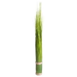 Kunstgras BOTANIC-HAUS "Grasarrangement selbststehend", gr&uuml;n, B:7cm H:60cm T:7cm &Oslash;:7cm, Kunststoff, Kunstpflanzen