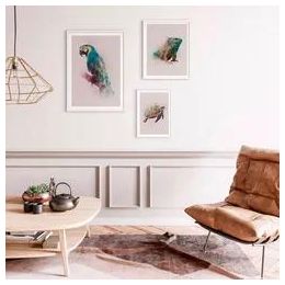 Bild Komar "Animals Paradise Turtle", bunt (farbe bild(er): bunt), B:40cm H:50cm, Holz, Papier, Bilder, Bild, Wandbild zur Dekoration - ohne Rahmen