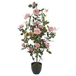 Kunstbaum I.GE.A. "Rosenbusch im Topf", rosa, B:45cm H:115cm L:45cm, Obermaterial: 95% Polyester, 5% Kunststoff, Kunstpflanzen, Kunstrosen Kunstpflanzen Rosenstrauch Deko Hochzeit