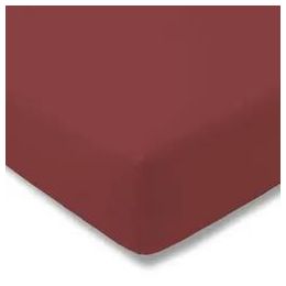 Bettlaken Estella "Zwirnjersey", rot (burgund), B:100cm L:200cm, Jersey-Elasthan, Obermaterial: 97% Baumwolle, 3% Elasthan, Bettlaken, Bettlaken, langlebig, temperaturausgleichend, Bettlaken, Spannbetttuch