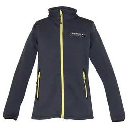 Fleecejacke DEPROC ACTIVE "Wohlf&uuml;hljacke WAVERLEY WOMEN", Herren, Gr. 36/38 (M), grau (anthra), 96% Polyester; 4% Elasthan, mit verstellbarem Klettverschluss, Jacken Sportbekleidung Outdoorbekleidung Fleecejacke &Uuml;bergangsjacke, auch in Gro&szlig;en Gr&ouml;&szlig;en erh&auml;ltlich