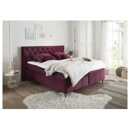 Boxspringbett ED EXCITING DESIGN "Pembroke", rot (burgund salvador 06 burgund), B:200cm L:210cm, 100% Polyester, Komplettbetten, Boxspringbett, inkl. Topper