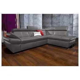 Ecksofa exxpo - SOFA FASHION "Salerno, Funktionssofa, hoher Sitzkomfort, Breite 268cm, L-Form", grau (delfin), B:268cm H:77cm T:204cm, NaturLeder;Primabelle-Microfaser (100% Polyester);Luxus-Kunstleder, Sofas, Ecksofa, inkl. Kopf- und Armteilverstellung, wahlweise mit Bettfunktion