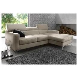 Ecksofa COTTA "Sammy L-Form", grau, B:226cm H:92cm T:105cm, Microfaser PRIMABELLE (100% Polyester);NaturLEDER in Sitz und R&uuml;cken/Kunstleder im Korpus;NaturLEDER (echtes Rindsleder), R&uuml;ckseite mit Spannstoff bezogen, Sofas, Ecksofa, mit Kopfteilverstellung, wahlweise mit Bettfunktion