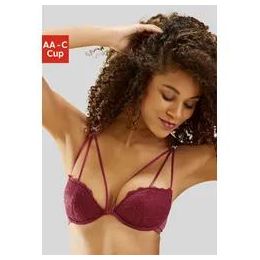 Push-up-BH Lascana, Damen, Gr. 80, Cup C, rot, Spitze, Obermaterial: 60% Polyamid, 35% Polyester, 5% Elasthan, BHs Push-up-BH, aus Spitze mit h&uuml;bscher B&auml;ndchenoptik, sexy Dessous