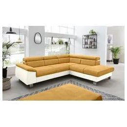 Ecksofa COTTA "Komaris L-Form, B: 249 cm", gelb (creme, senf), B:249cm H:72cm T:100cm, Microfaser PRIMABELLE (100% Polyester);Kunstleder SOFTLUX;Feinstruktur (100% Polyester);Kunstleder SOFTLUX/Struktur (100% Polyester);NaturLEDER, Sofas, Ecksofa, mit Kopfteilverstellung, optional Bettfunktion, Bettkasten & Licht