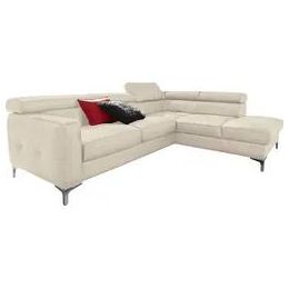 Ecksofa COTTA "Sammy L-Form", beige (creme), B:239cm H:74cm T:207cm, Microfaser Primabelle (100% Polyester);Die R&uuml;ckseite und die Liegefl&auml;che der Bettfunktion in NaturLEDER ist mit schwarzem Spannstoff bezogen, Sofas, Ecksofa, mit Kopfteilverstellung, wahlweise mit Bettfunktion & Bettkasten