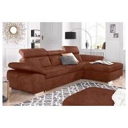 Ecksofa exxpo - SOFA FASHION "Spring, super bequem, mit Armteil- und Kopfteilfunktion", braun (cognac), B:284cm H:81cm T:181cm, Luxus-Microfaser (100% Polyester);Struktur (100% Polyester);NaturLEDER (echtes Rindsleder) in Sitz und R&uuml;cken. Korpus in passendem Kunstleder SOFTLUX bezogen, Sofas, Ecksofa, L-Form, wahlweise mit Bettfunktion und Bettkasten