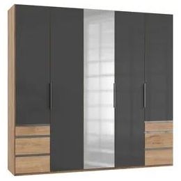Kleiderschrank wimex "Level by fresh to go", grau (plankeneichefarben, grauglas), B:250cm H:236cm T:58cm, Schr&auml;nke, Kleiderschrank Dreht&uuml;renschrank, mit Glas-und Spiegelt&uuml;ren