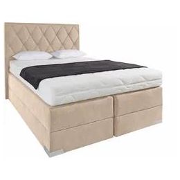 Boxspringbett, beige (dunkelbeige), B:210cm L:212cm, Bezug der Obermatratze: 100% Polyester, Bezug abnehm- und waschbar bis 60C;Unterbox und Kopfteil: Microvelours-Bezug (100% Polyester), Westfalia Schlafkomfort, Komplettbetten, Boxspringbett