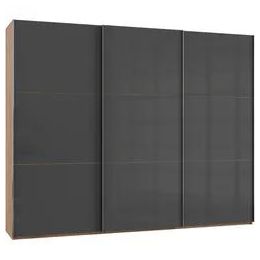 Schwebet&uuml;renschrank wimex "Level by fresh to go", grau (plankeneichefarben, grauglas), B:300cm H:236cm T:65cm, Schr&auml;nke, Schwebet&uuml;renschrank, mit Glast&uuml;ren