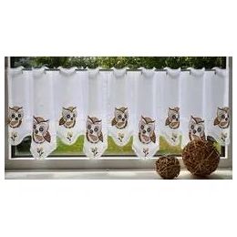 Scheibengardine Stickereien Plauen "Eulen" Gr. 2, beige (beige, braun), B:110cm H:40cm, Voile, Polyester, Gardinen