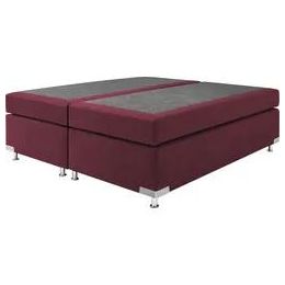 Boxspringbett "Holland", rot (bordeaux, rot), B:162cm L:201cm, Microvelours (100% Polyester), Westfalia Schlafkomfort, Komplettbetten, Boxspringbett, ohne Kopfteil, frei im Raum stellbar
