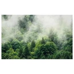 Vliestapete Komar "Digitaldruck Vlies - Forest Land - Gr&ouml;&szlig;e 400 x 250 cm", bunt, B:400m L:250m, Vlies, Tapeten, Wohnzimmer, Schlafzimmer