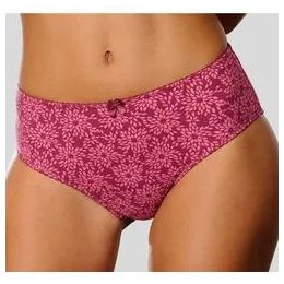 Slip Nuance, Damen, Gr. 44/46, lila (pflaume, beere), Obermaterial: 95% Baumwolle, 5% Elasthan, Unterhosen Slip, hoch geschnittener Slip aus Baumwolle, Topseller