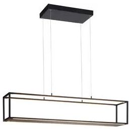 Paul Neuhaus Pendelleuchte "CONTURA", schwarz, 4, H: 120cm, 1 Stk., Leuchten, LED, dimmbar &uuml;ber Touchdimmer, Memory, nach Trennung vom Netz, Pendelleuchte