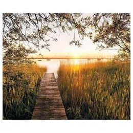 Vliestapete Komar "Digitaldruck Vlies - Lakeside - Gr&ouml;&szlig;e 300 x 250 cm", gr&uuml;n, B:300m L:250m, Vlies, Tapeten, Wohnzimmer, Schlafzimmer