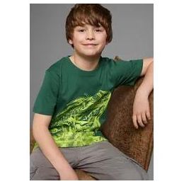 T-Shirt Kidsworld "GECKO", Jungen, Gr. 164/170, gr&uuml;n (dunkelgr&uuml;n), Jersey, Obermaterial: 100% Baumwolle, bedruckt, Basic, Rundhals, Shirts T-Shirt, Kurzarm, Basic-Passform, bedruckt, Rundhalsausschnitt