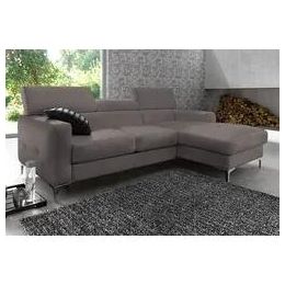 Ecksofa COTTA "Sammy L-Form", grau, B:226cm H:92cm T:105cm, Microfaser PRIMABELLE (100% Polyester);NaturLEDER in Sitz und R&uuml;cken/Kunstleder im Korpus;NaturLEDER (echtes Rindsleder), R&uuml;ckseite mit Spannstoff bezogen, Sofas, Ecksofa, mit Kopfteilverstellung, wahlweise mit Bettfunktion