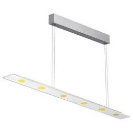 Evotec LED Pendelleuchte "SUN LED", Energieeffizienz: E (A-G), wei&szlig; (edelstahlfarben, wei&szlig;), 6, 1 Stk., Leuchten, LED H&auml;ngelampe, LED H&auml;ngeleuchte, dimmbar, LED Pendelleuchte