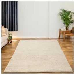 Wollteppich Theko "Taza Royal" Gr. 5, beige (natur meliert), B:200cm H:28mm L:200cm, Schurwolle, Teppiche, echter Berber Teppich aus Marokko, reine Schurwolle, handgekn&uuml;pft