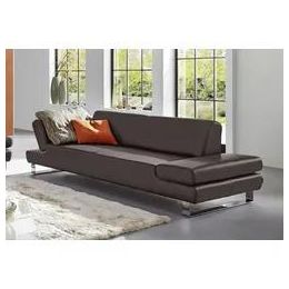 3-Sitzer W.Schillig "taboo Designsofa mit hohem Sitzkomfort", braun (braun z59), B:232cm H:76cm T:101cm, Flachgewebe S22 (100% Polyester);Stoff S37 (100% Polyester): Luxus-Microfaser in Lederoptik;Longlife Xtra-Leder Z59: Glattleder mit modischer Pr&auml;gung. Hautst&auml;rke 0, 9 - 1, 1 mm;Longlife Xtra-Leder Z69: Das feinnarbige, gedeckte Softleder Z69 besticht durch seine au&szlig;ergew&ouml;hnliche Weichheit im tr