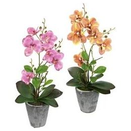 Kunstpflanze I.GE.A. "Orchidee", bunt (rosa, orange), B:19cm H:40cm L:40cm, Kunstpflanzen, Kunstpflanze, Mit Bl&auml;ttern und Luftwurzeln, im Topf aus Keramik, 2er Set