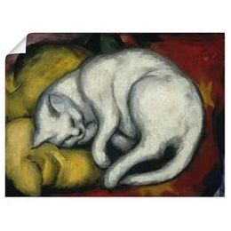 Wandbild Artland "Die weisse Katze. 1912", wei&szlig; (farbe bild(er): wei&szlig;), B:60cm H:45cm, Bilder, als Leinwandbild, Poster in verschied. Gr&ouml;&szlig;en