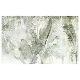 Vliestapete Komar "Digitaldruck Vlies - Botanical Boho - Gr&ouml;&szlig;e 400 x 250 cm", gr&uuml;n (gr&uuml;n, wei&szlig;), B:400m L:250m, Vlies, Tapeten, Wohnzimmer, Schlafzimmer