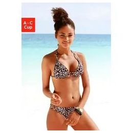 Triangel-Bikini Lascana, Damen, Gr. 38, Cup A, braun (braun, bedruckt), Polyamid, Bikini-Sets Triangel-Bikini, mit Leo-Print und Push-Up-Effekt