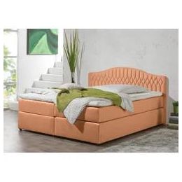 Boxspringbett Maintal, orange (terra), Liegefl&auml;che B/L: 160cm x 200cm, H2 + H2, 7-Zonen-Kaltschaummatratze, Seitliche Einfassung Unterbox und Obermatratze: Mikrovelours (100% Polyester);Spiegelfl&auml;che der Unterbox und Obermatratze: 100% Polyester, Komplettbetten, Boxspringbett, in diversen Ausf&uuml;hrungen