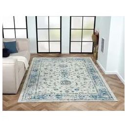 Teppich "My Heriz", braun (beige, blau, grau), B:200cm H:8mm L:290cm, Polyester, MyFlair M&Ouml;BEL & ACCESSOIRES, Teppiche, Teppich, Kurzflor, klassisches Orient Design, besonders weich durch Microfaser